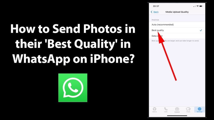 Whatsapp Android Settings Whatsapp Android Settings