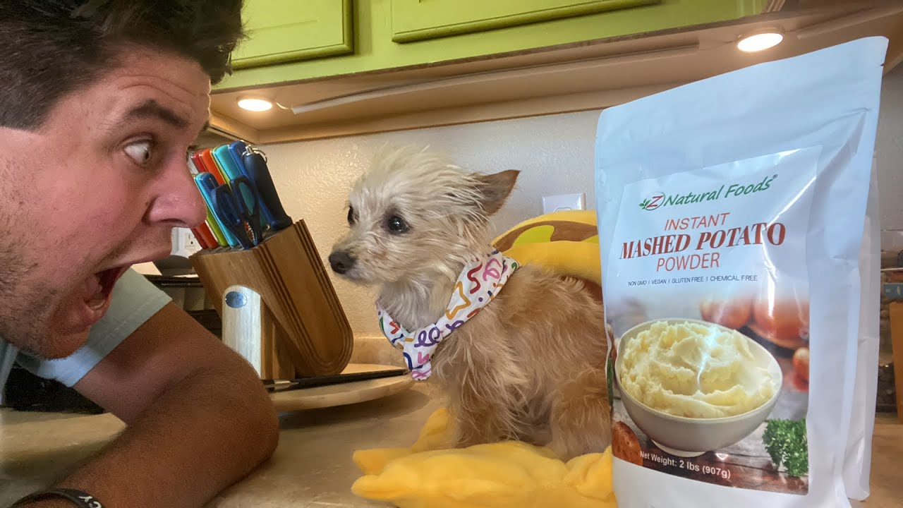Are Instant Potatoes Fake?!? - YouTube