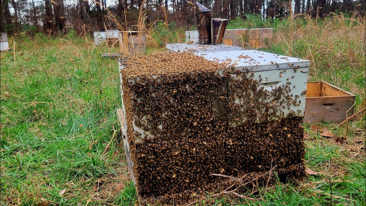 Swarm Control Steps - YouTube