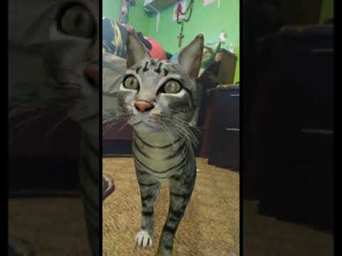 I like my cat FOR Me. - YouTube