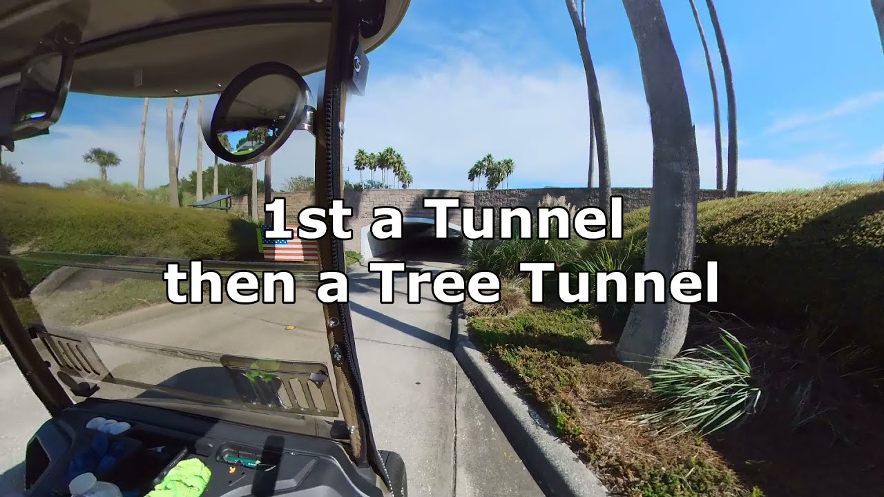 Driving a Golf Cart in The Villages, Florida. Through a tree tunnel and ...