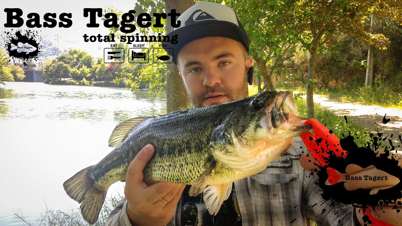 Pesca ao Achiga no Rio Douro - YouTube