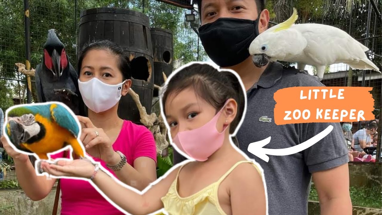 Yoki's Farm walk-in animal encounter - YouTube