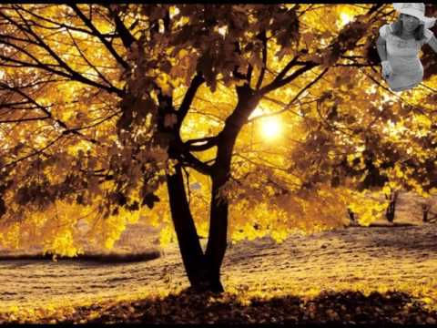 ÇEMBERİMDE GÜL OYA ♫ SADE
