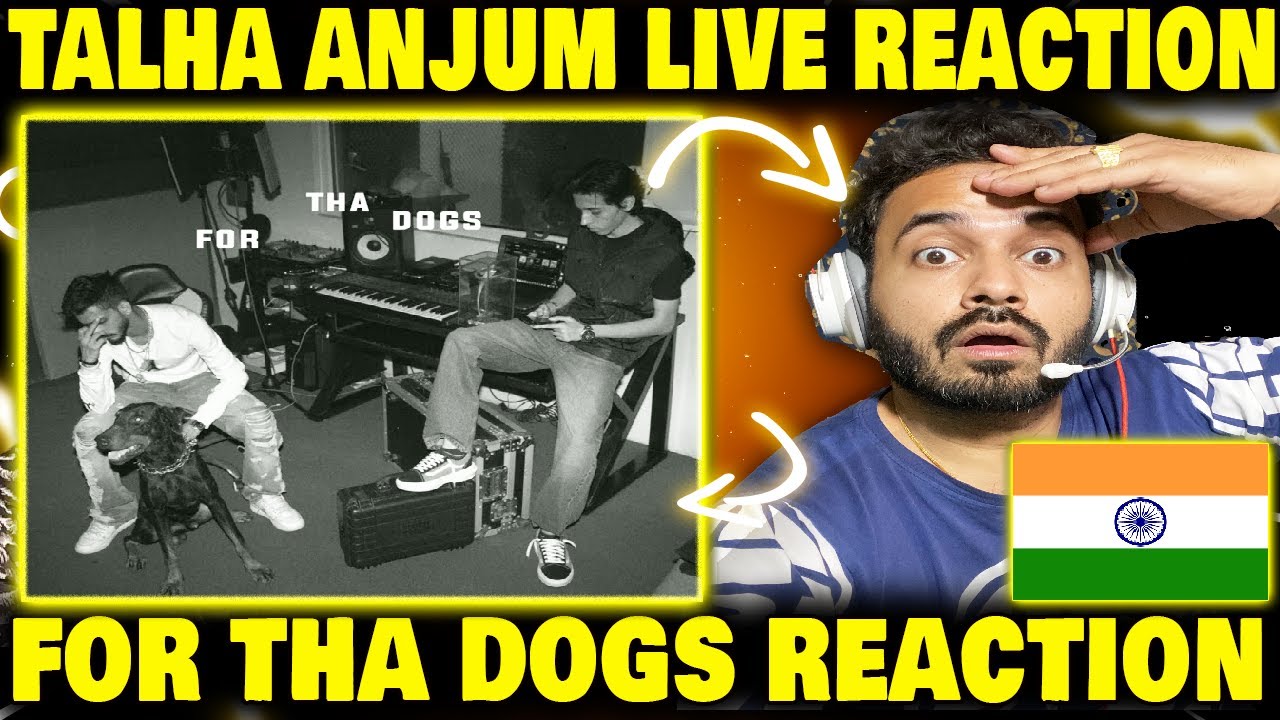 India Live Reaction On Talha Anjum, Album FOR THA DOGS Savage - KATTAR ...