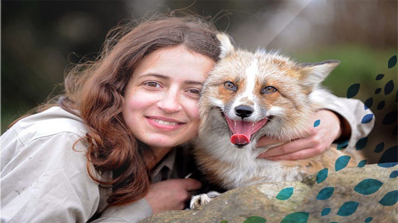 Rescued Fox That Was Raised By Humans Now Thinks He’s A Regular Dog ...