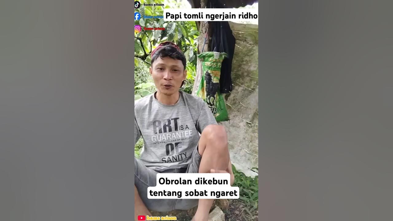 Papi tomli ngerjain ridho sama anas sambil ngobrol dikebun#sambil ngggu hujan reda mau ngarer ...