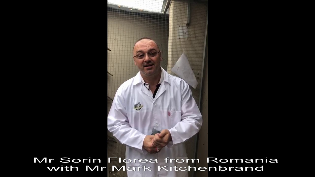 Mr Sorin Florea and Mr Mark Kitchenbrand from SA with the Dam of MIX ...