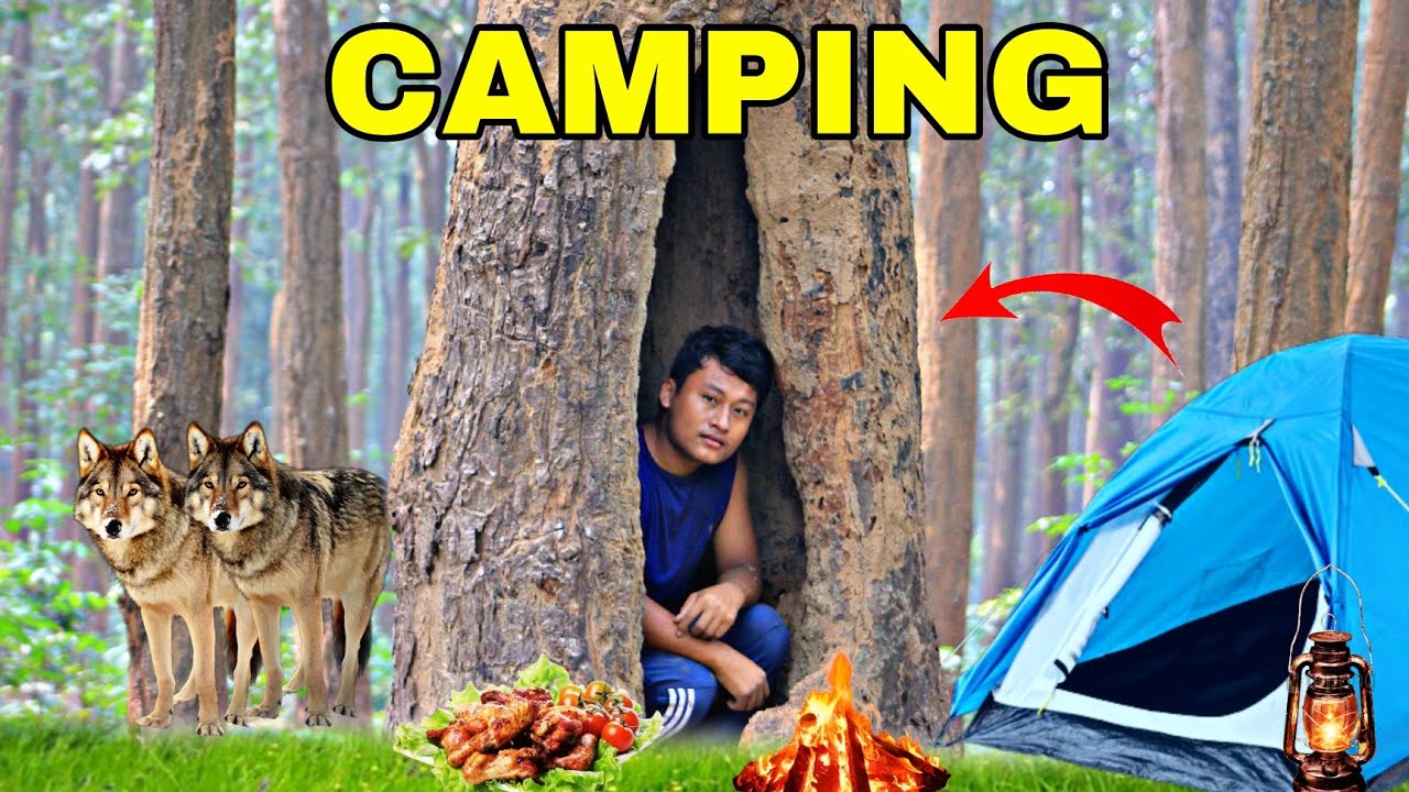 Dangerous Camping in forest || Campaign in India || Campaign videos ...
