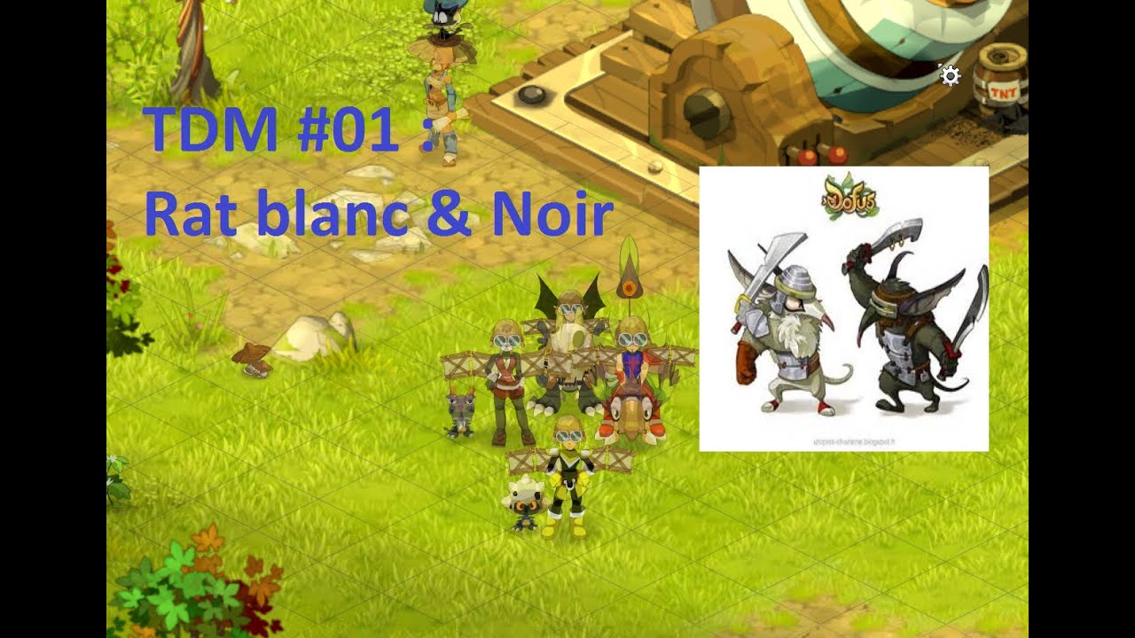 #TDM - DJ Rats blanc et Noir - YouTube