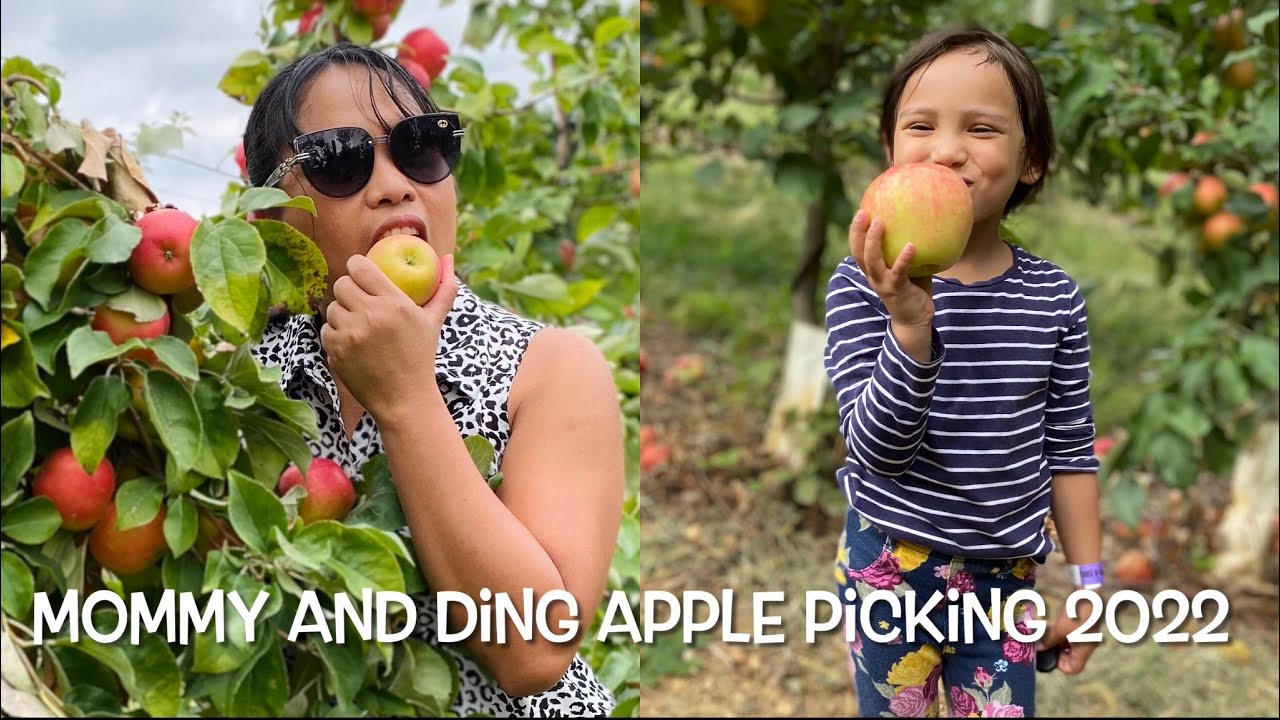 Apple Picking 2022 | Baugher’s Orchard | Mommy and Ding - YouTube