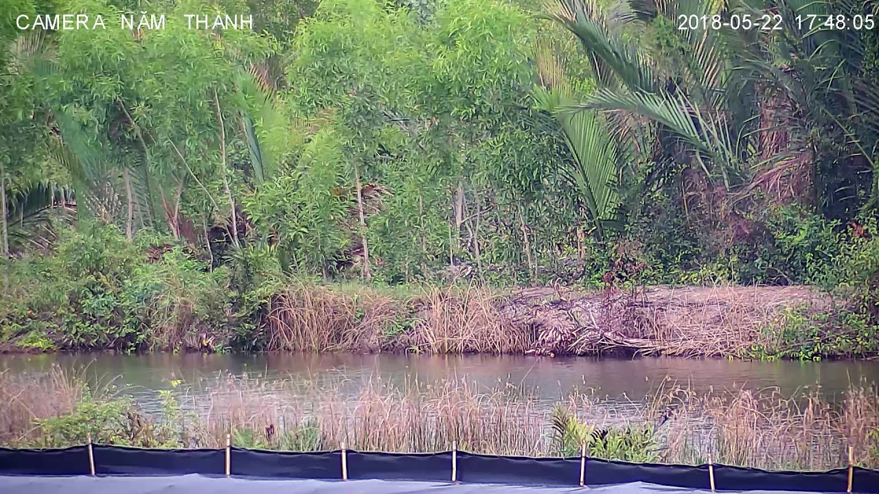 Camera speedom 2.0 - YouTube