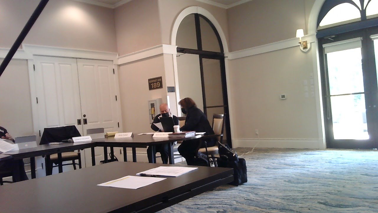 VCDD BOARD MEETING MARCH 8, 2021 - YouTube