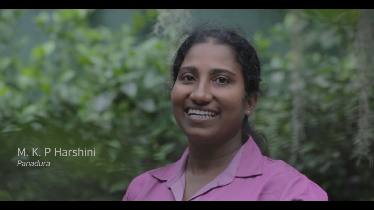 Learning English at the British Council - M K P Harshini - YouTube