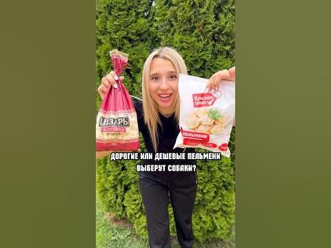 КАКИЕ ПЕЛЬМЕНИ ВЫБЕРУТ СОБАКИ: ДЕШЕВЫЕ или ДОРОГИЕ - YouTube