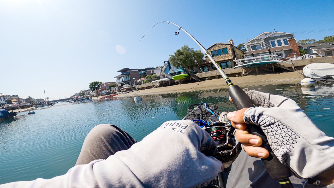 This canal was loaded with Fish (Spotted Bay Bass Fishing) Plus halibut ...