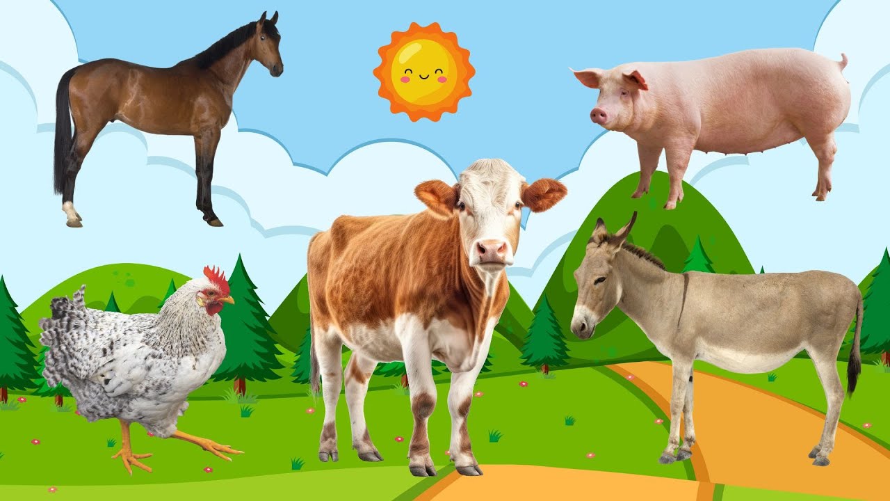 🔴🐯🦁🐶 ¡Adivina el sonido! Escucha y descubre los sonidos de los animales ...