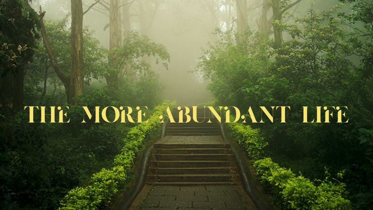 Sunday November 28th 2021 YouTube sunday-november-28th-2021-youtube