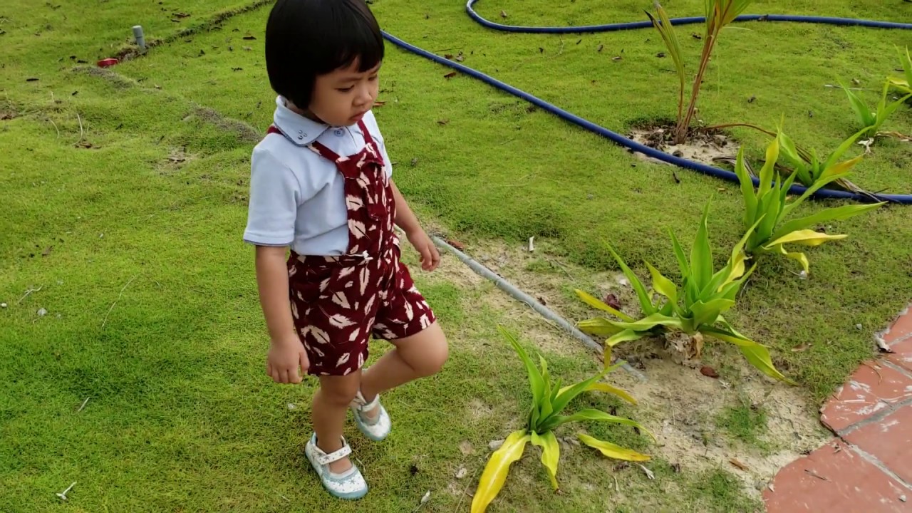 Công viên nước Golden Peak Resort - Cam Ranh / Golden Peak Resort - Cam ...
