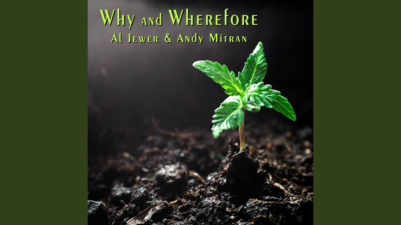Why and Wherefore - YouTube