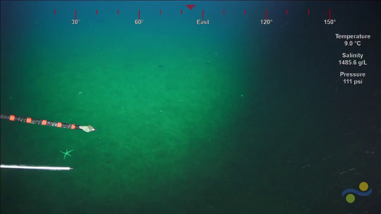 ROV SuBastian Dive 128- Hydrate Ridge North - Adaptive Robotics - YouTube