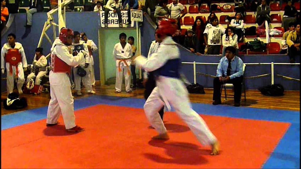 Han Moo Kwan (America Sur) - YouTube
