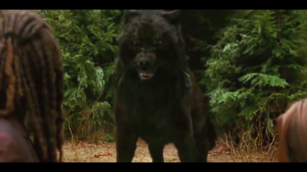 werewolf scenes full movie - YouTube