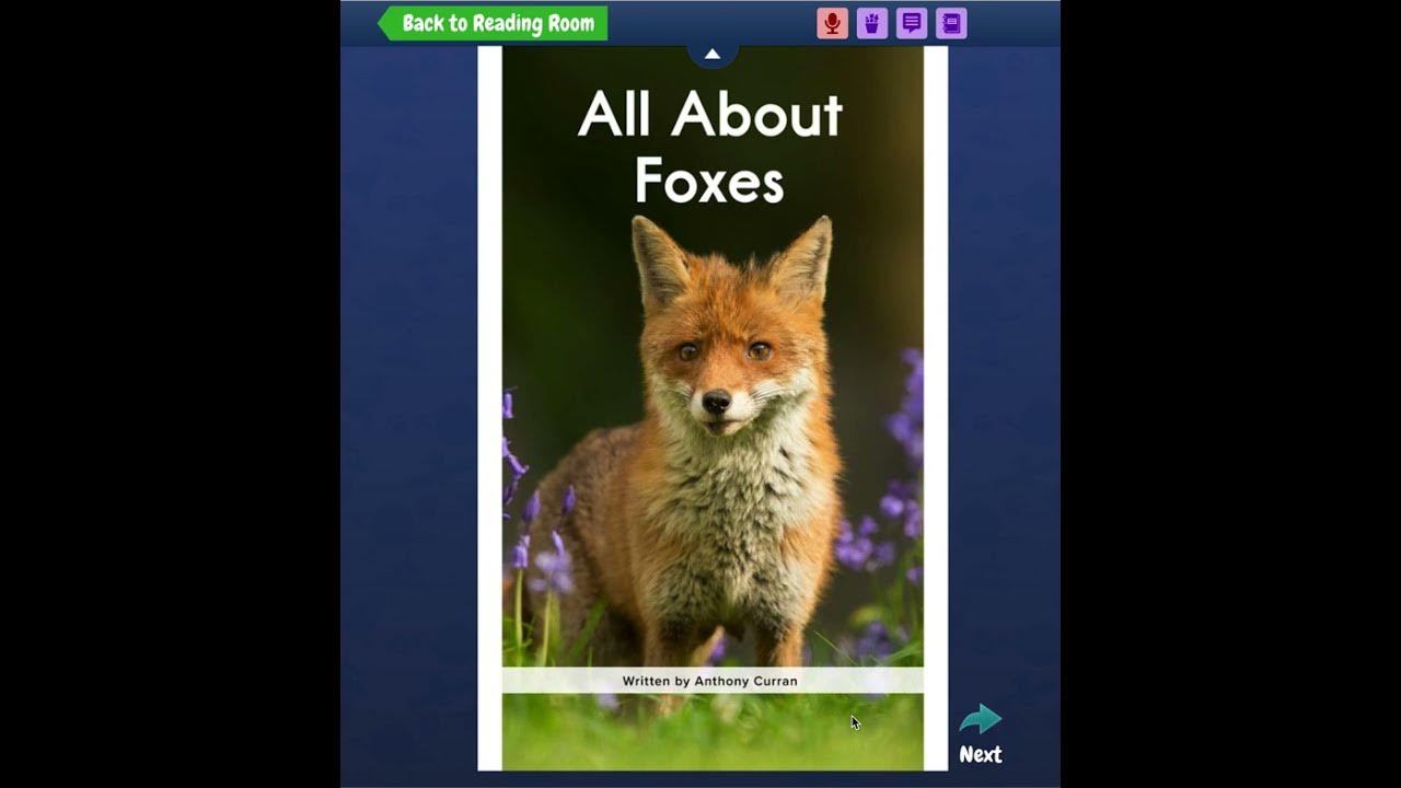 All about foxes - YouTube