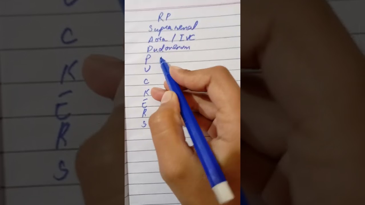 Concept of Peritoneum 😍 Intra Peritoneal and Retroperitoneal organs ...