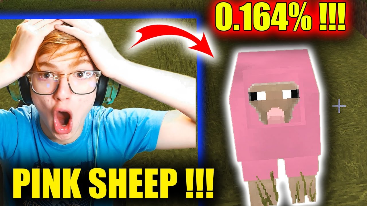 ΒΡΗΚΑ ΤΟ ΠΙΟ ΣΠΑΝΙΟ MOB ΣΤΟ MINECRAFT? ΒΡΗΚΑ ΤΟ PINK SHEEP! 0.1% ...