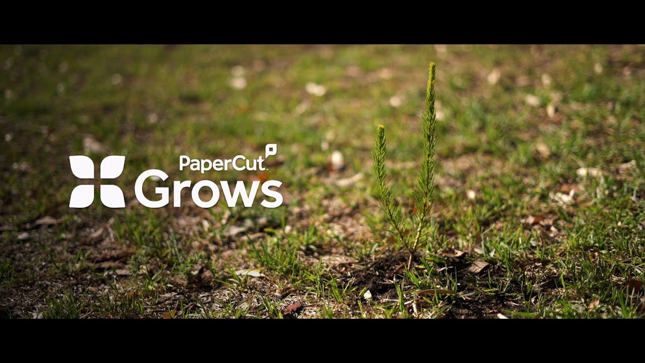 Forest Positive Printing with PaperCut Grows #1 - YouTube