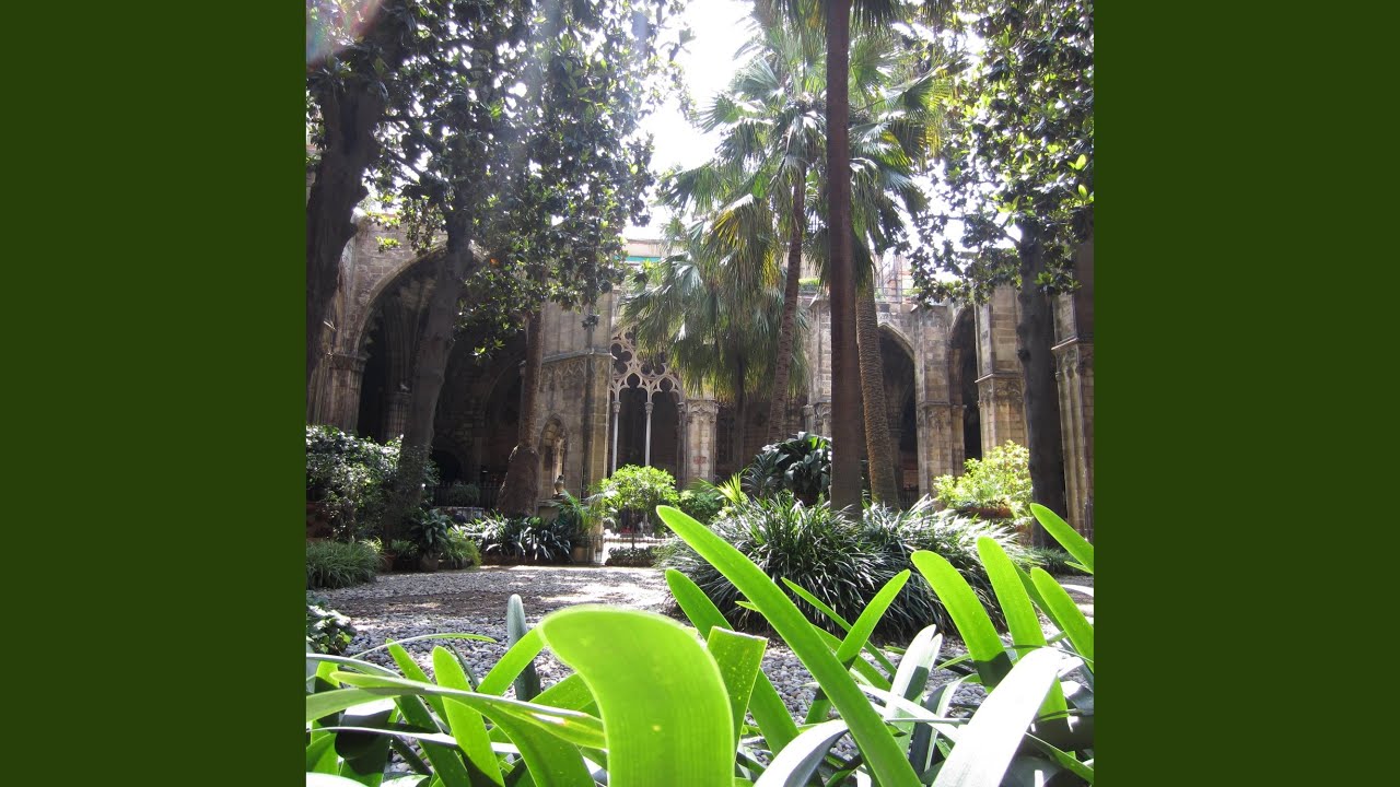 Future Wolves/Dreamcatcher - YouTube