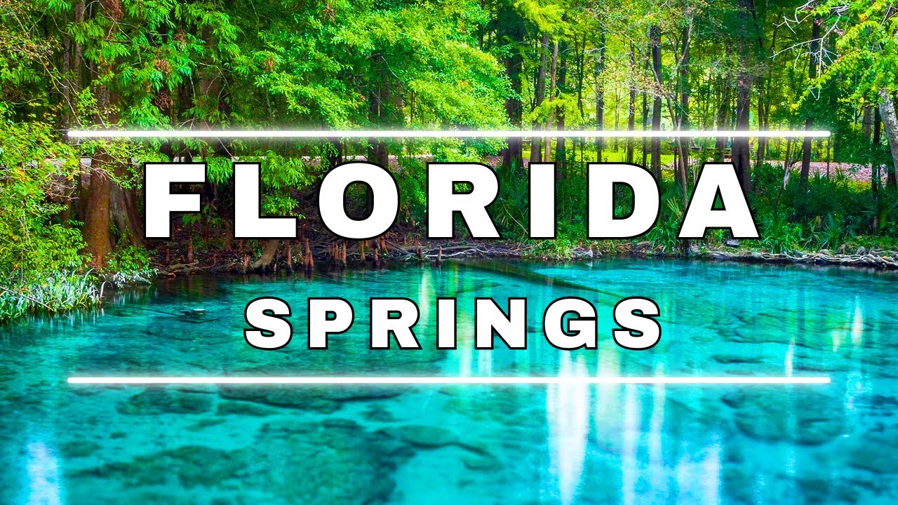 10 BEAUTIFUL Natural Springs and Parks You Need To Visit In Florida ...