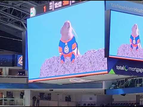 Bridgeport Islanders Pika Mercury