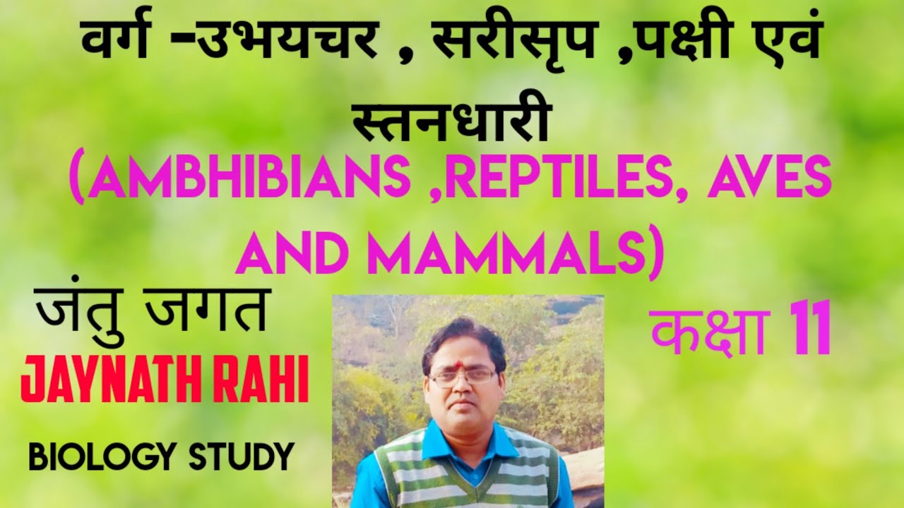 AMPHIBIA, REPTILES, AVES,MAMMALIA, CLASS 11, VIDEO 7, ANIMAL KINGDOM ...