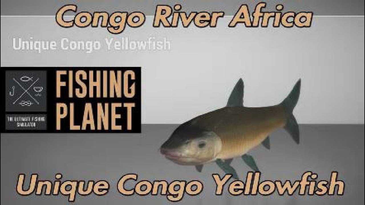 Fishing Planet - Unique Congo Yellowfish - Congo River Africa - YouTube