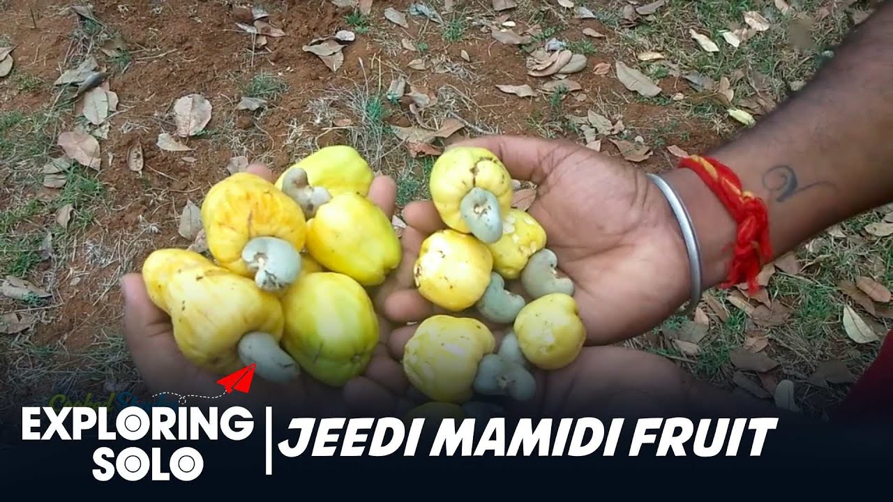 Jeedi Mamidi Fruit - YouTube