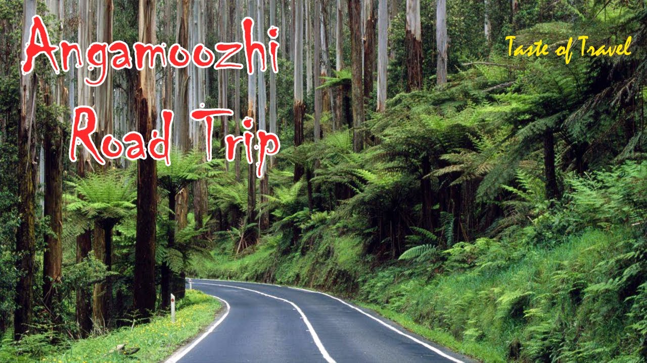 Angamoozhy Road Trip - YouTube