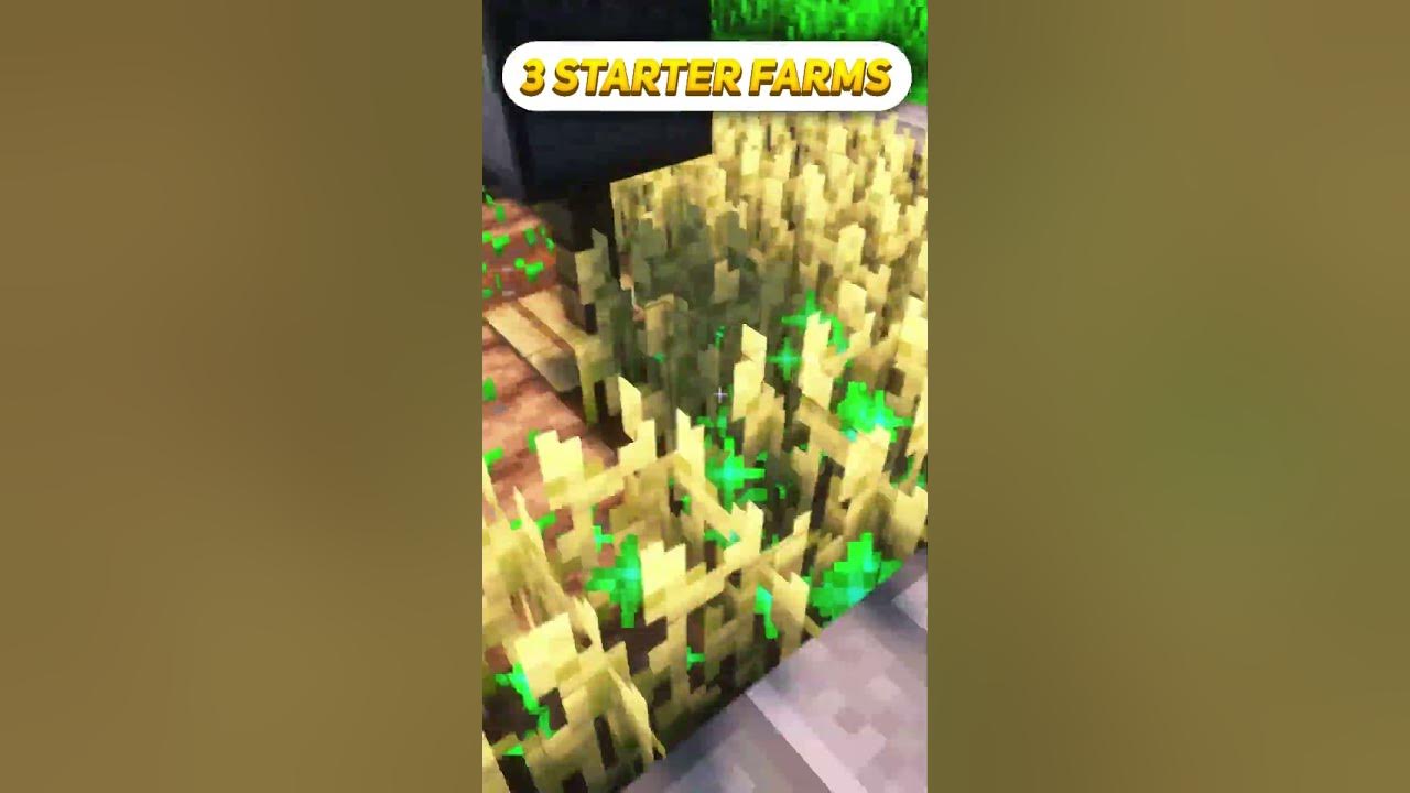 Minecraft 3 Starter Farms🏡 #shorts - YouTube