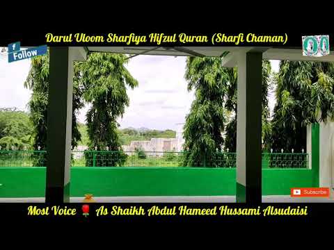 WhatsApp Status 🌹|| SALAM || Qana Tu Quran7676 ||