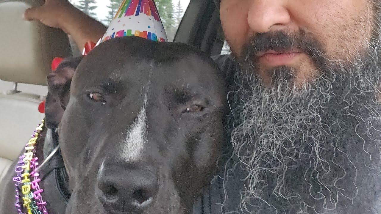 ️Celebrating ️🐕Dr.chunk's🐕day he was🎆 born🎆 - YouTube