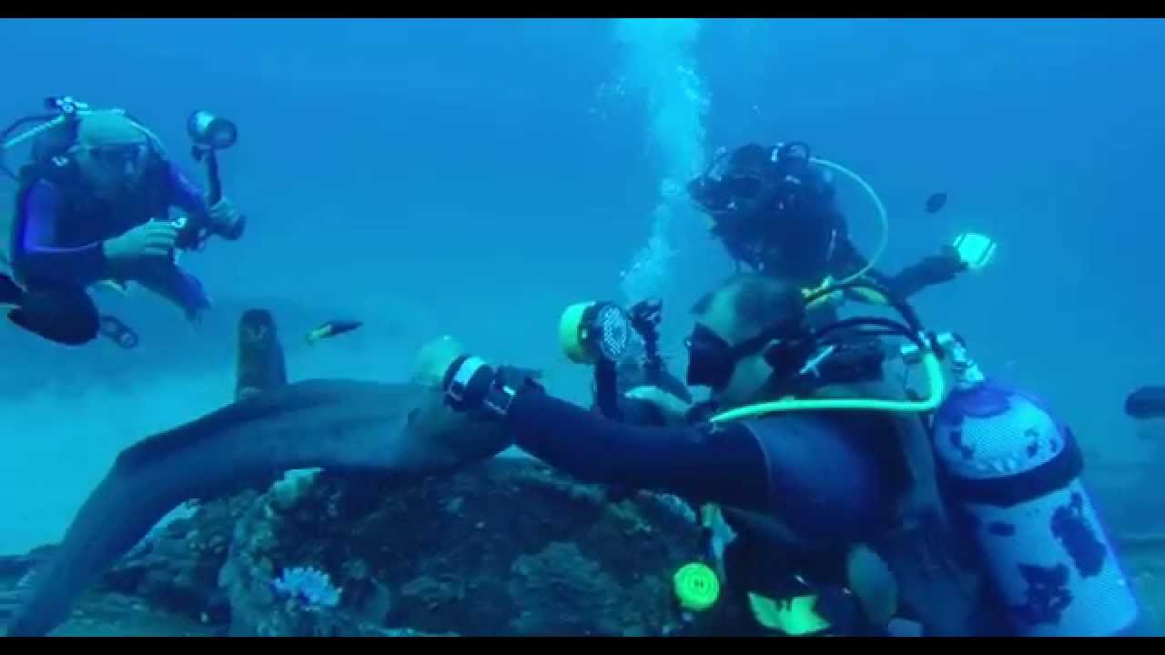 L'épave stella maru (ile Maurice)2014 - YouTube