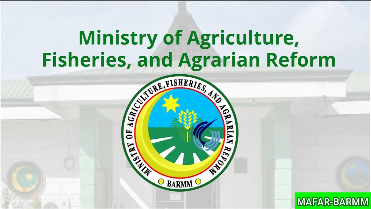 Ministry Of Agriculture Fisheries And Agrarian Reform BARMM Profile ministry-of-agriculture-fisheries-and-agrarian-reform-barmm-profile