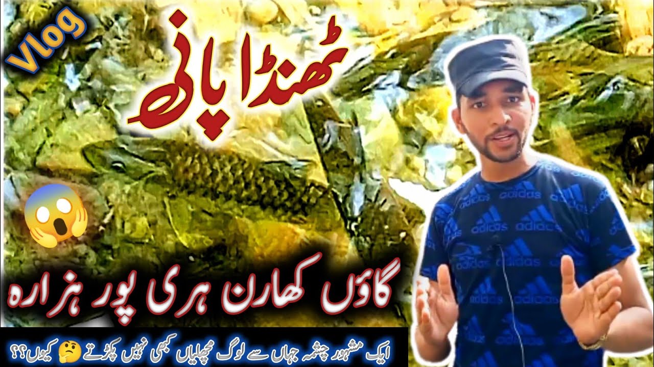 Thanda Paani, A Famous place of village Kharan Haripur Hazara, village ...