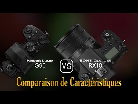 Panasonic Lumix G90 vs. Sony Cyber-shot RX10 III: Une Comparaison de ...