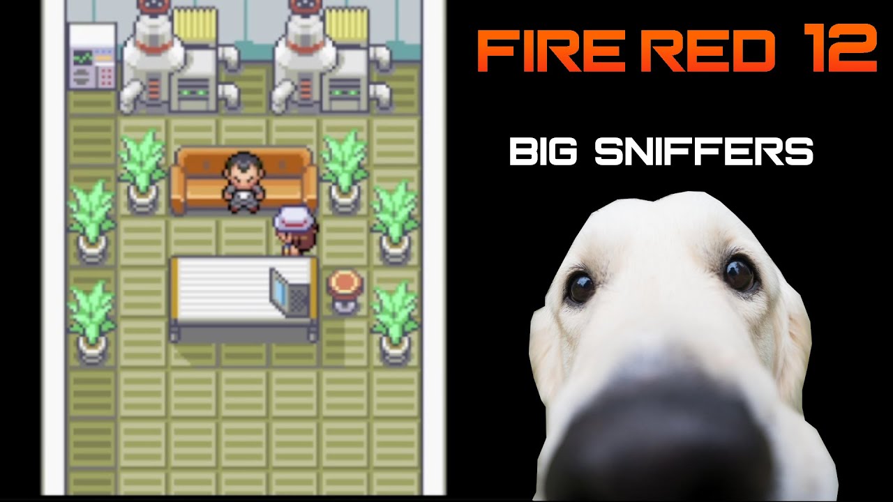 Fire Red 898 Soul Link - Episode 12: Big Sniffers - YouTube