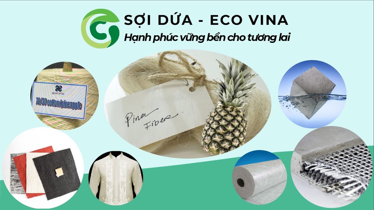 ECO VINA SW2021 - YouTube