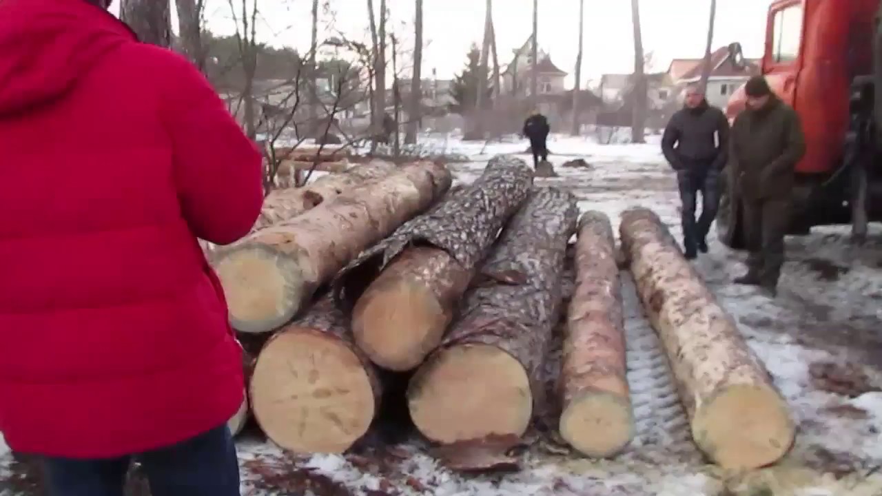 Боярка boyarka.love boyarka.TV mistoBoyarka ЛЕС - YouTube
