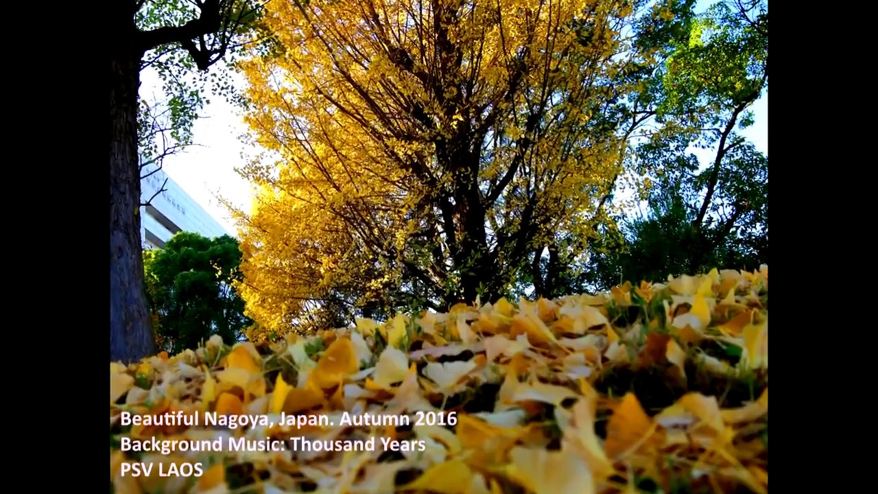 Beautiful Autumn in Nagoya, Japan - YouTube