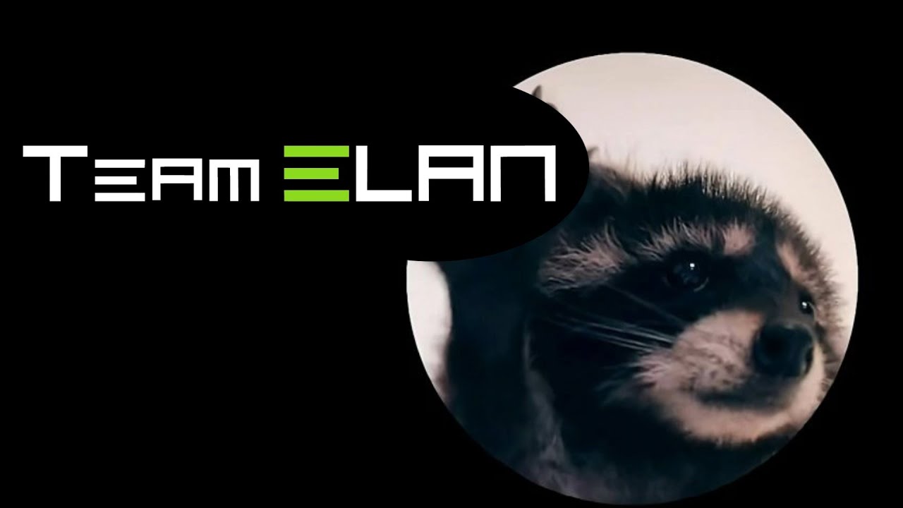 Team Elan - Miss it - YouTube